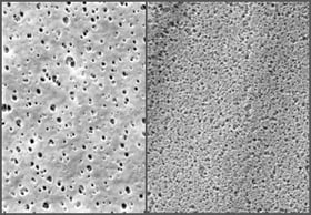 BPS Filters - Bioburden Control PES