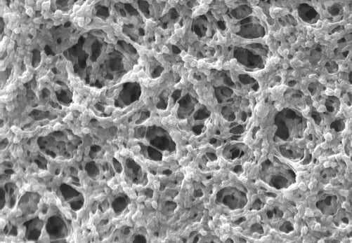 FPVWB Filters - Hydrophobic PVDF